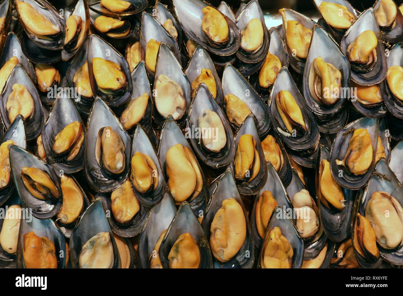 Fresh shellfish is offered at Malaga's fish market, 12 February 2019 ...