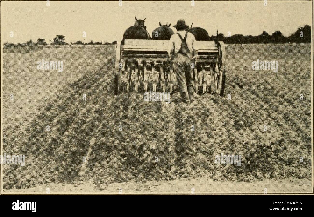 Effective farming; a text-book for Stock Photo - Alamy