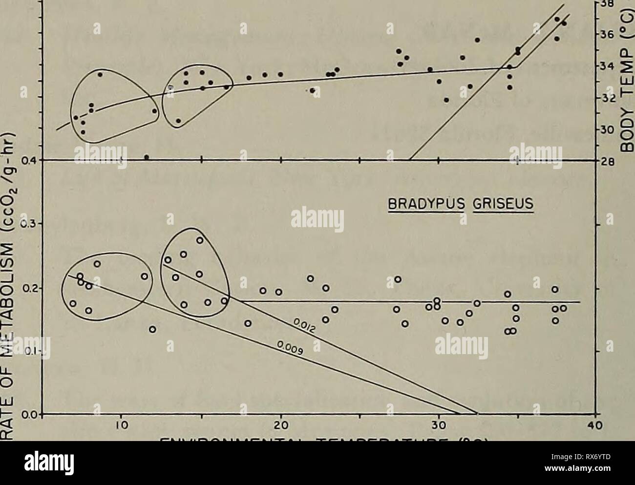 The Ecology of arboreal folivores Stock Photo - Alamy