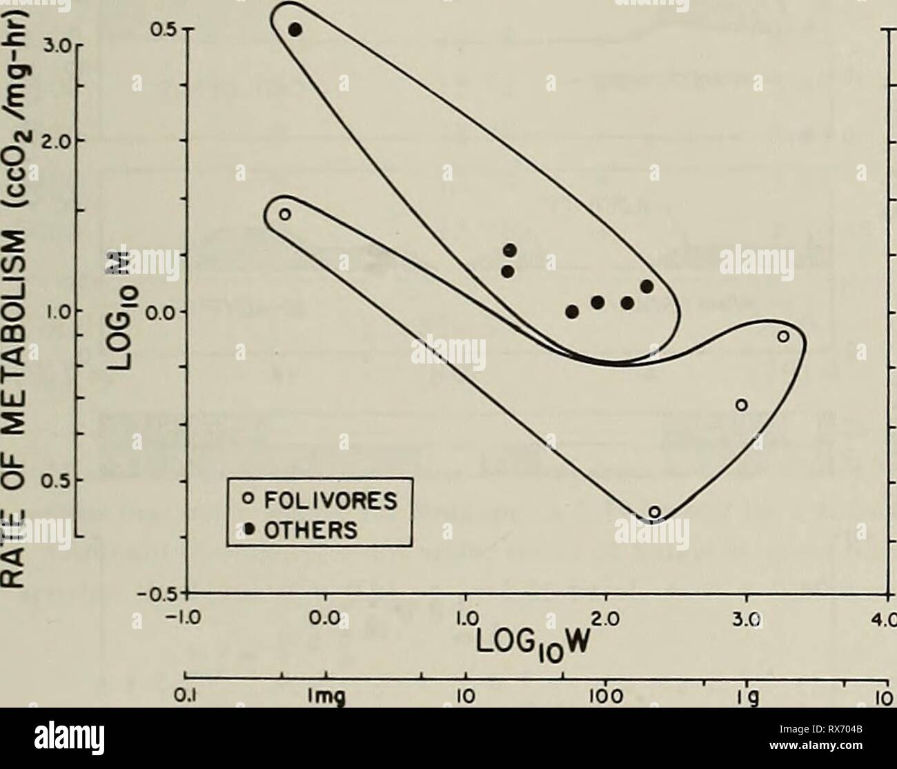 The Ecology of arboreal folivores Stock Photo - Alamy