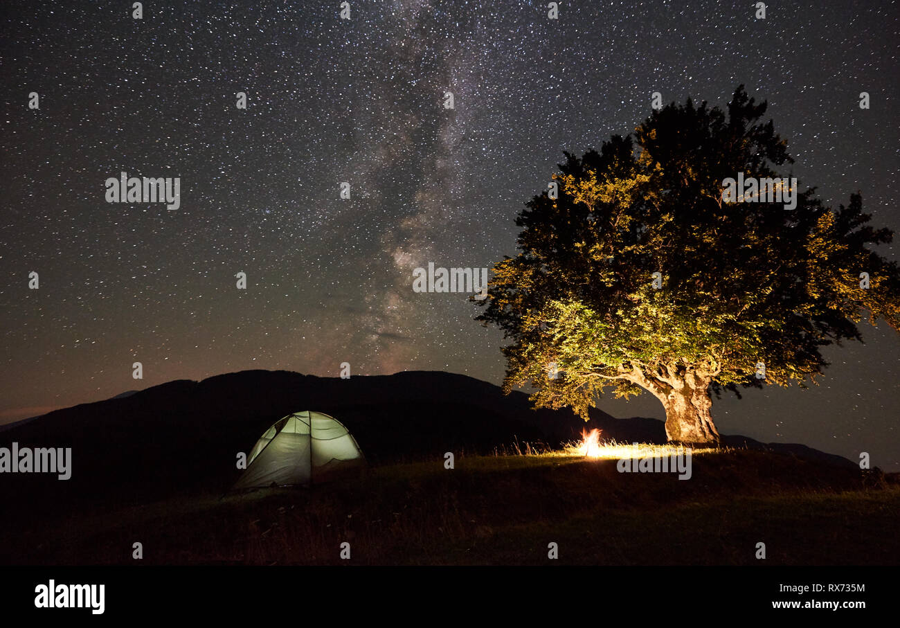 Tourist camping near big tree at night in the mountains. Glowing tent ...