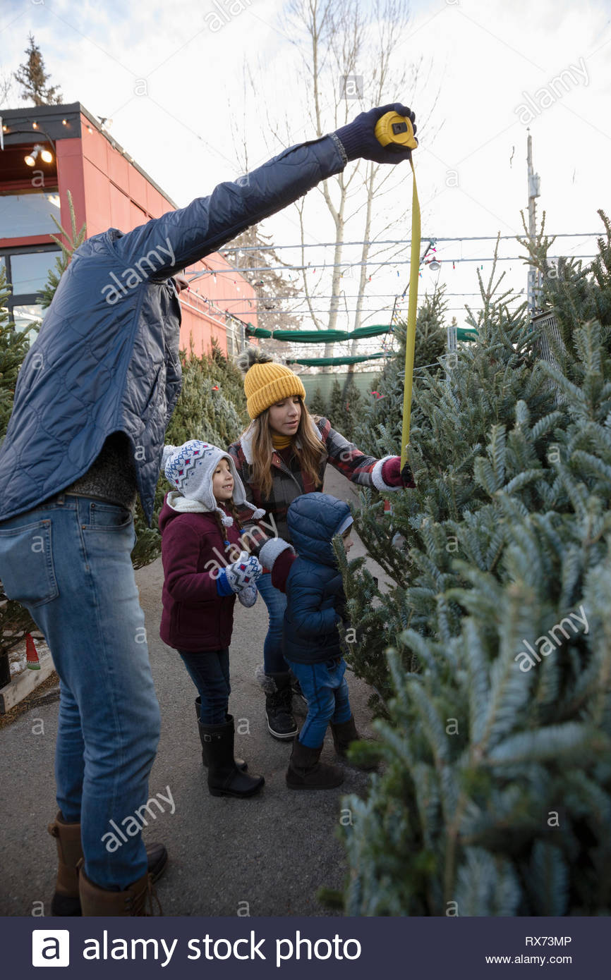 Two part family tree hi-res stock photography and images - Alamy