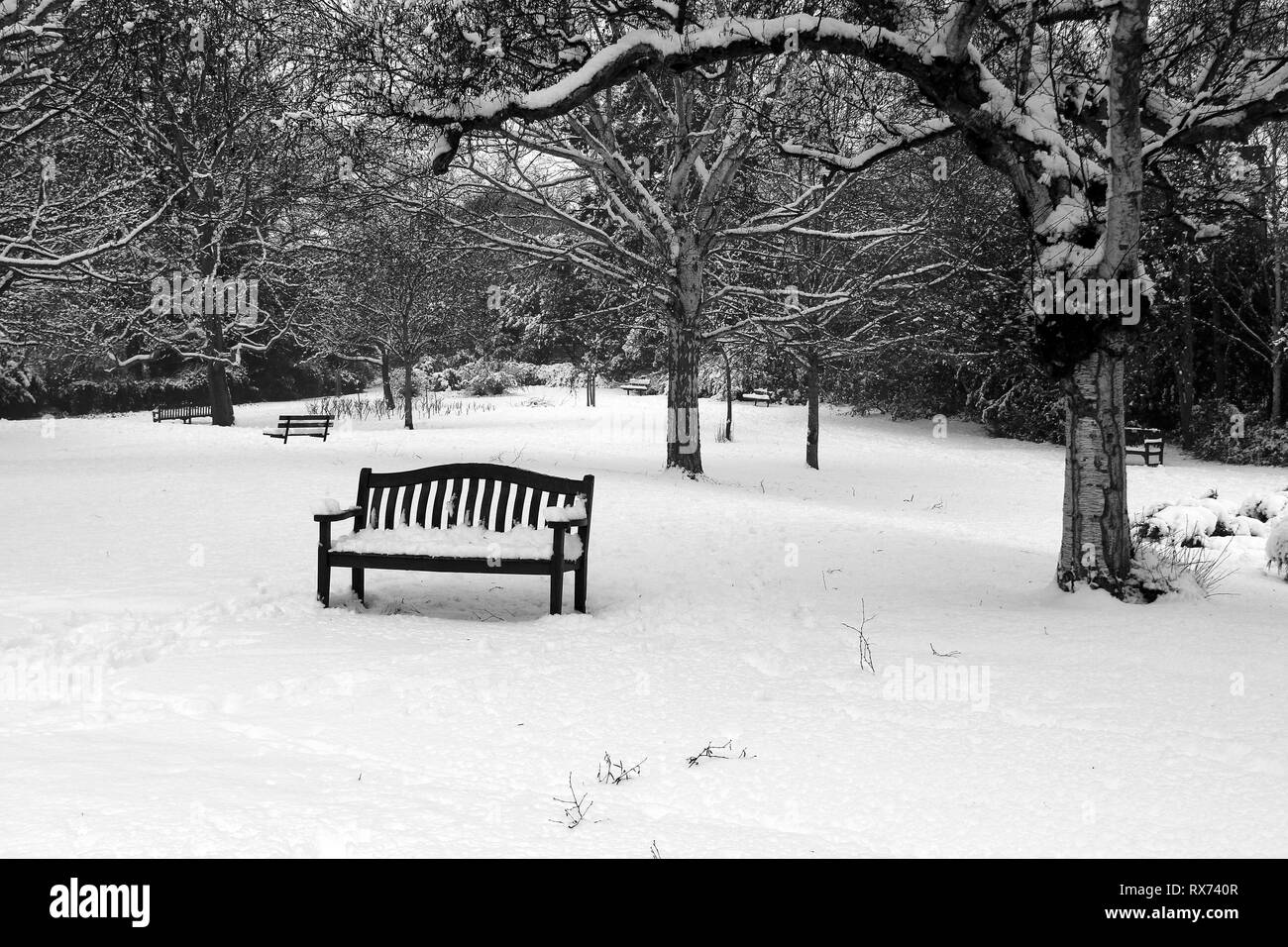 a wintery scene in a park showing a single empty bench seat covered in ...