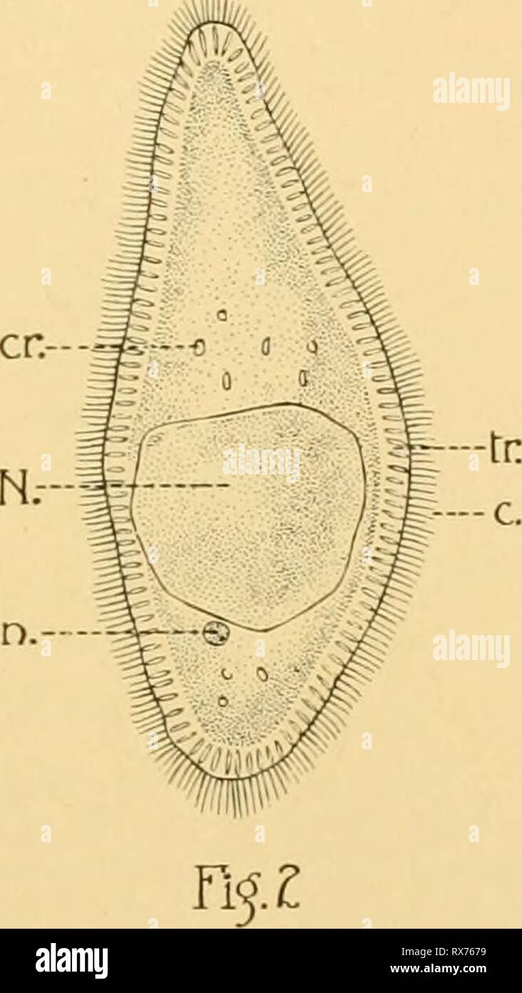 The effects of inanition and Stock Photo - Alamy