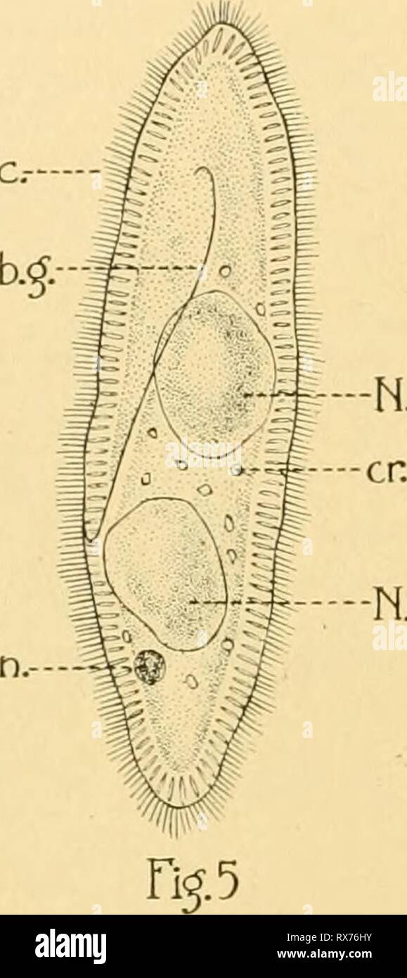 The effects of inanition and Stock Photo - Alamy