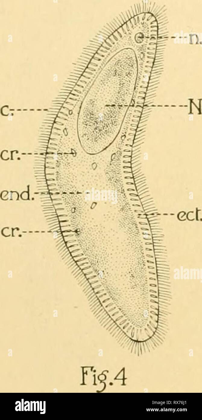 The effects of inanition and Stock Photo - Alamy