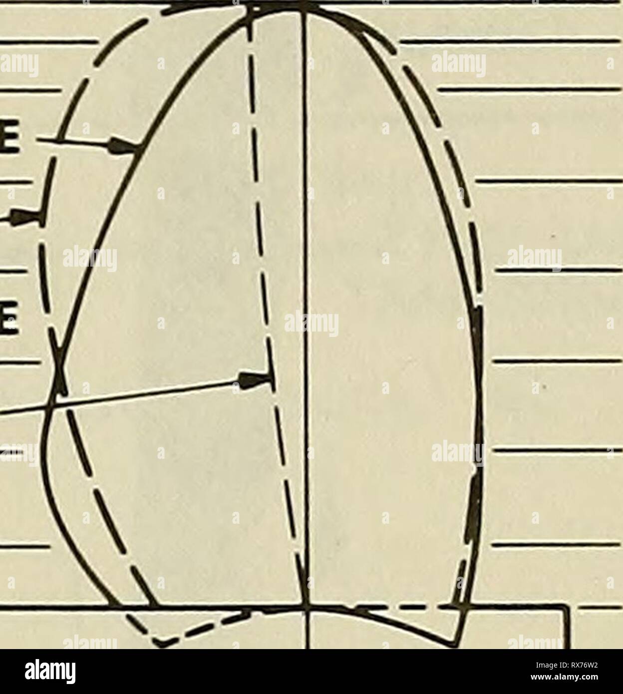 4 propeller blades hi-res stock photography and images - Alamy