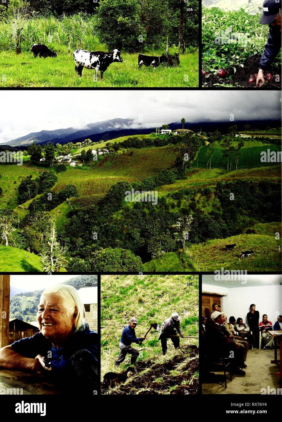 Cofanes hi-res stock photography and images - Alamy