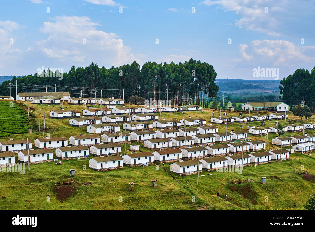 Kenya, Kericho county, Kericho, tea picker village Stock Photo - Alamy