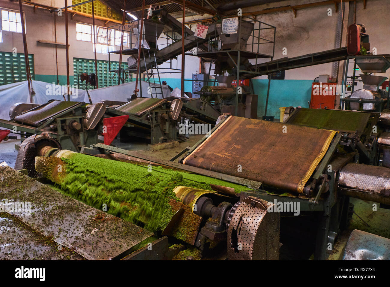 Kenya, Kericho county, Kericho, Momul tea factory of Kenya Tea ...