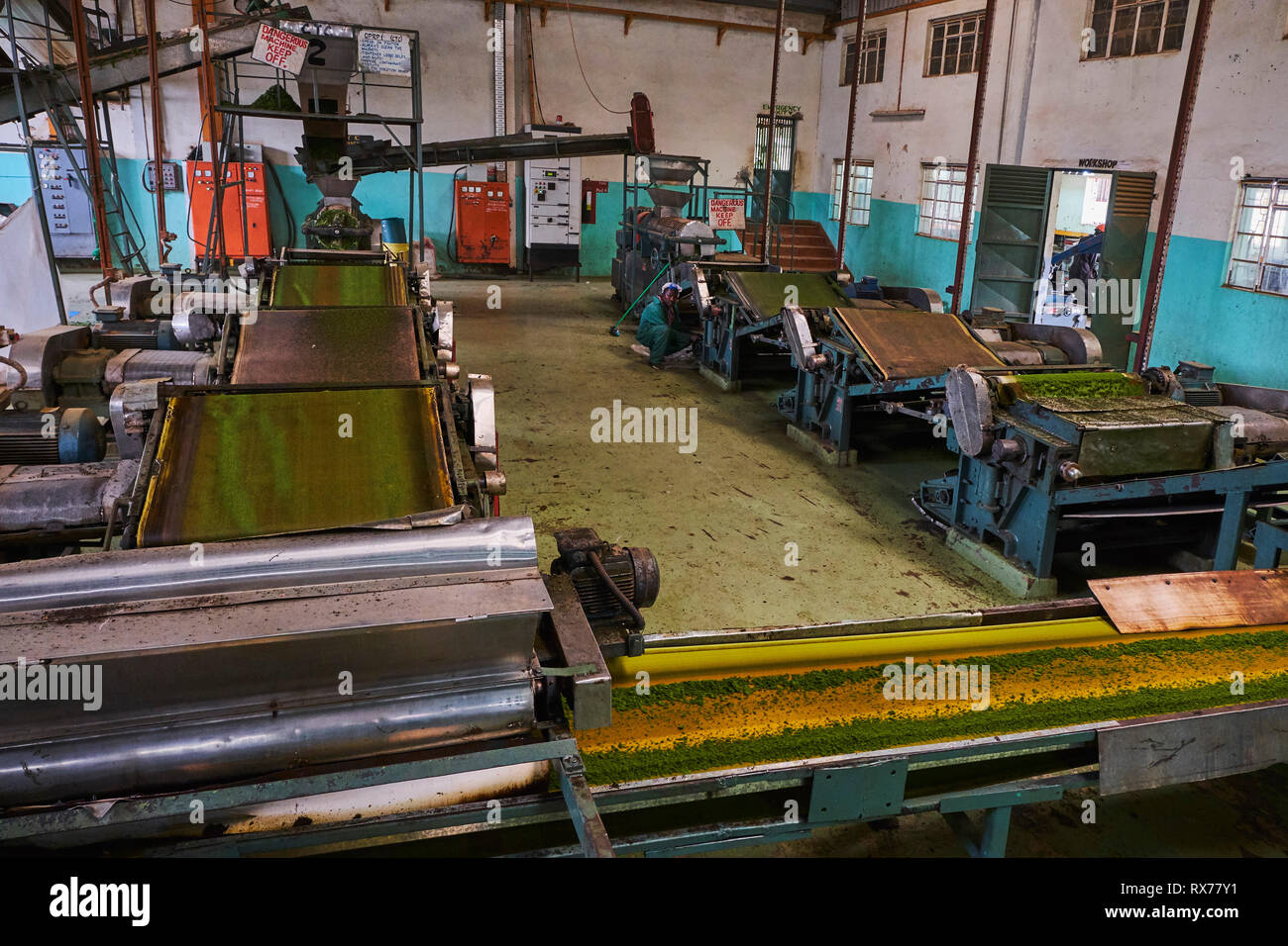 Kenya, Kericho county, Kericho, Momul tea factory of Kenya Tea ...