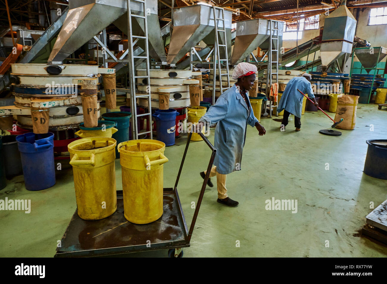 Kenya, Kericho county, Kericho, Momul tea factory of Kenya Tea ...