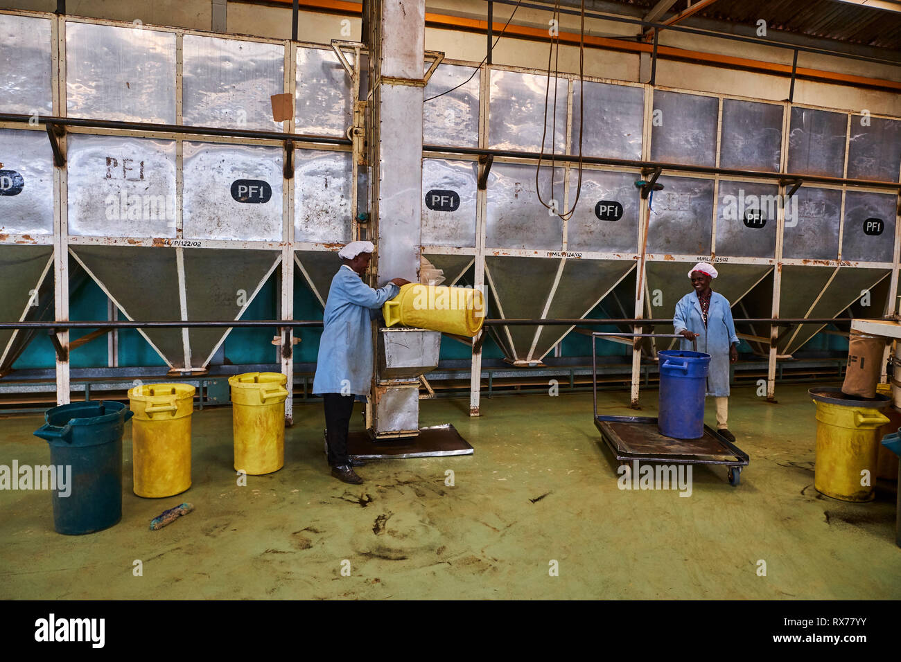 Kenya, Kericho county, Kericho, Momul tea factory of Kenya Tea ...