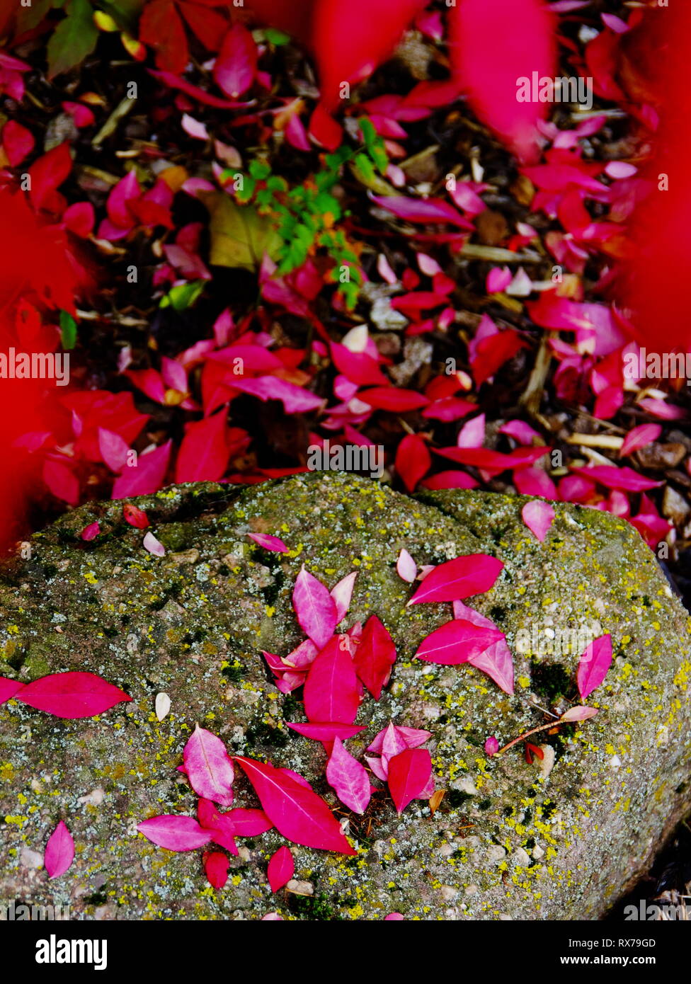 Stone images hi-res stock photography and images - Alamy