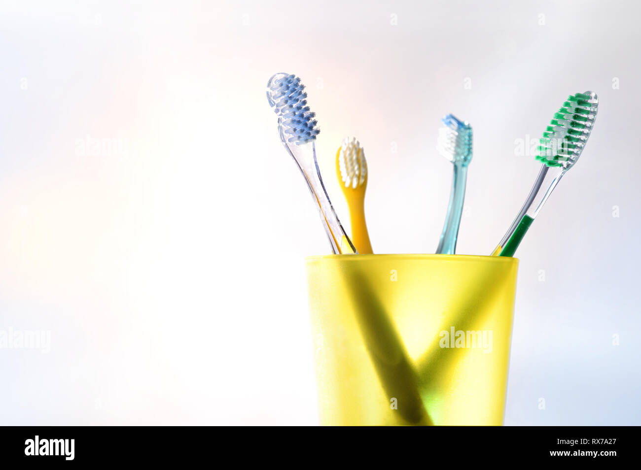 daily family dental cleaning with yellow plastic cup with toothbrushes ...
