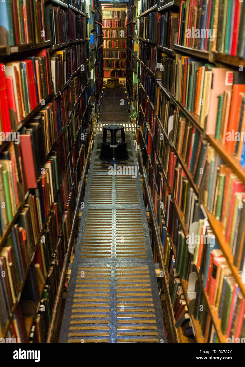 The London Library in St James's Square Stock Photo - Alamy