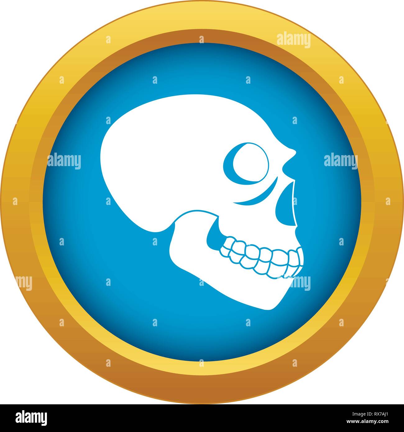 Skull icon blue vector isolated Stock Vector Image & Art - Alamy
