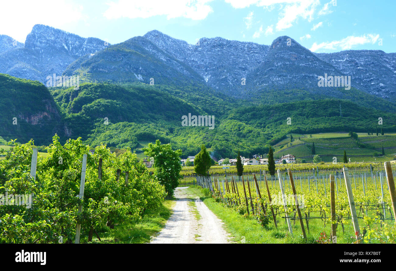 Lago di caldaro in alto adige hi-res stock photography and images - Alamy