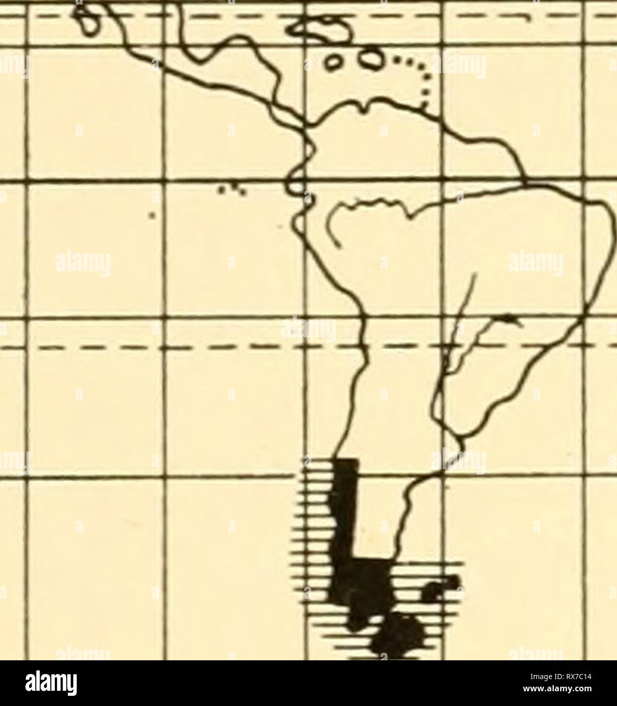 Zoogeography hi-res stock photography and images - Alamy