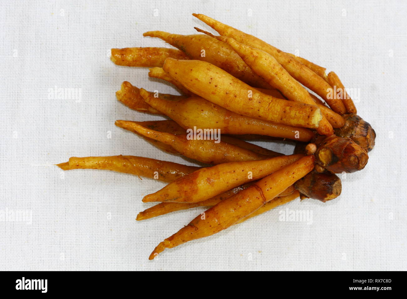 Asian plant with edible roots hi-res stock photography and images - Alamy