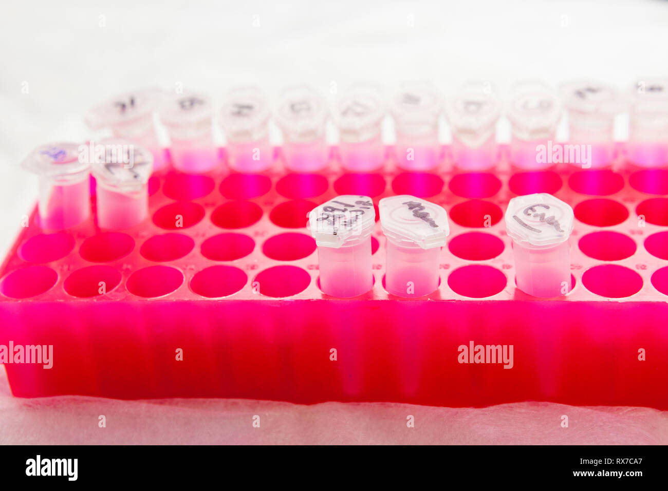 Research laboratory bench hi-res stock photography and images - Alamy