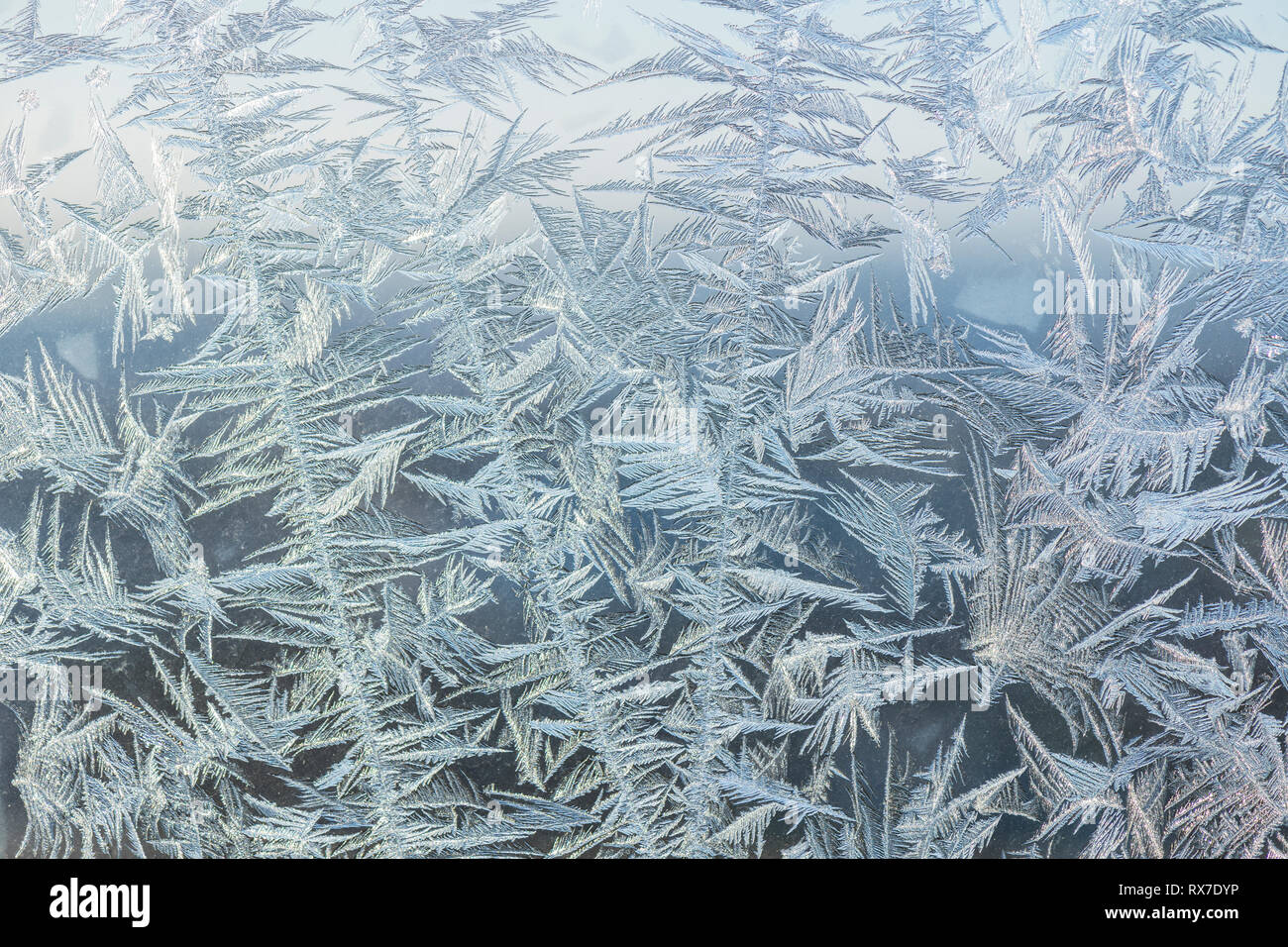 Covered in frost hi-res stock photography and images - Alamy