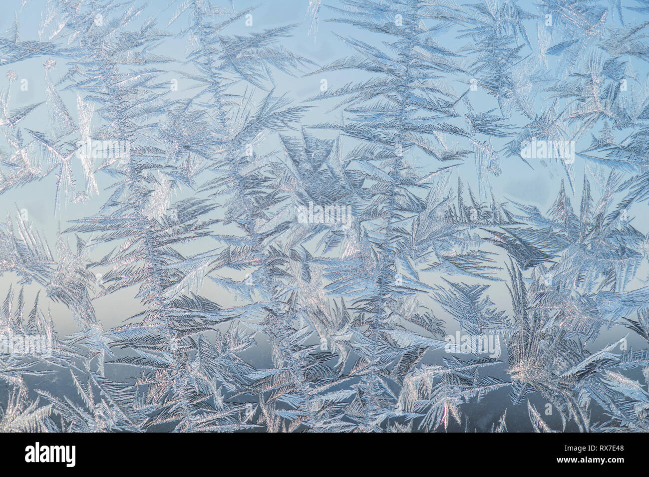 Extreme close up frost patterns hi-res stock photography and images - Alamy