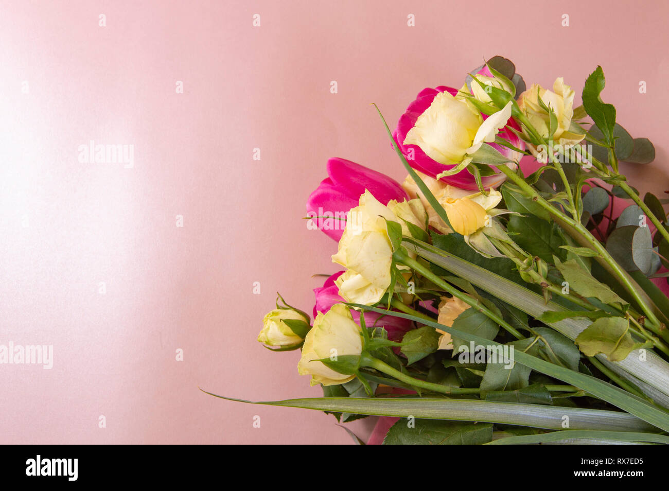 Flat lay flower arrangement with roses and tulips on a pink background ...