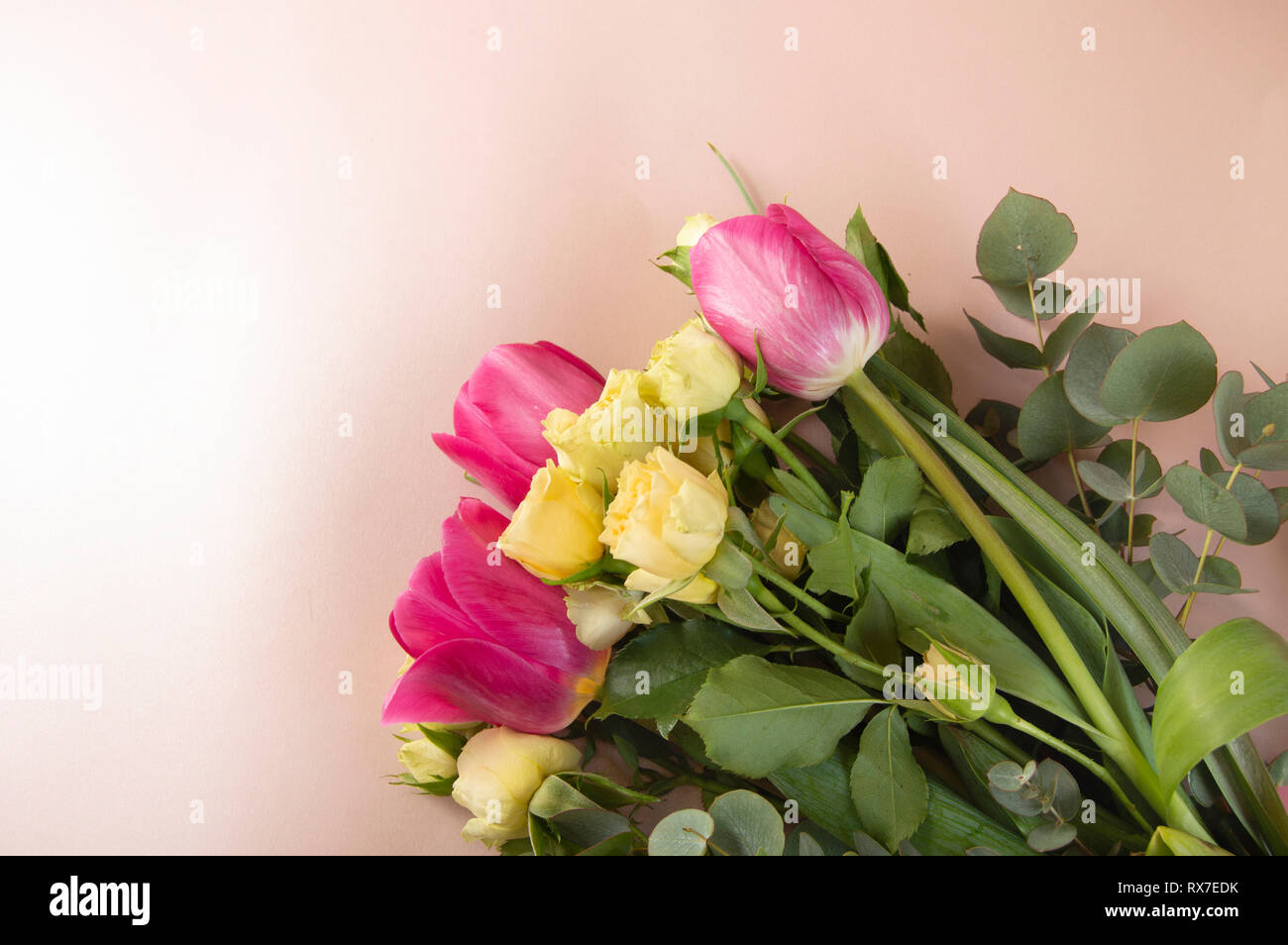 Flat lay flower arrangement with roses and tulips on a pink background ...
