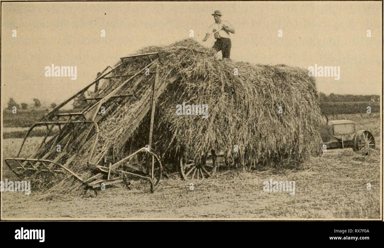 Effective farming; a text-book for Stock Photo - Alamy