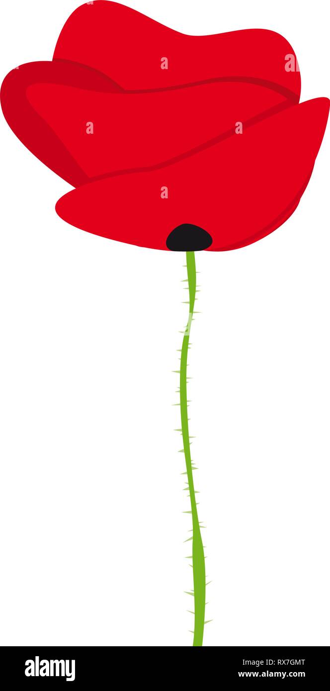 Poppy in spring red Stock Vector Images - Alamy