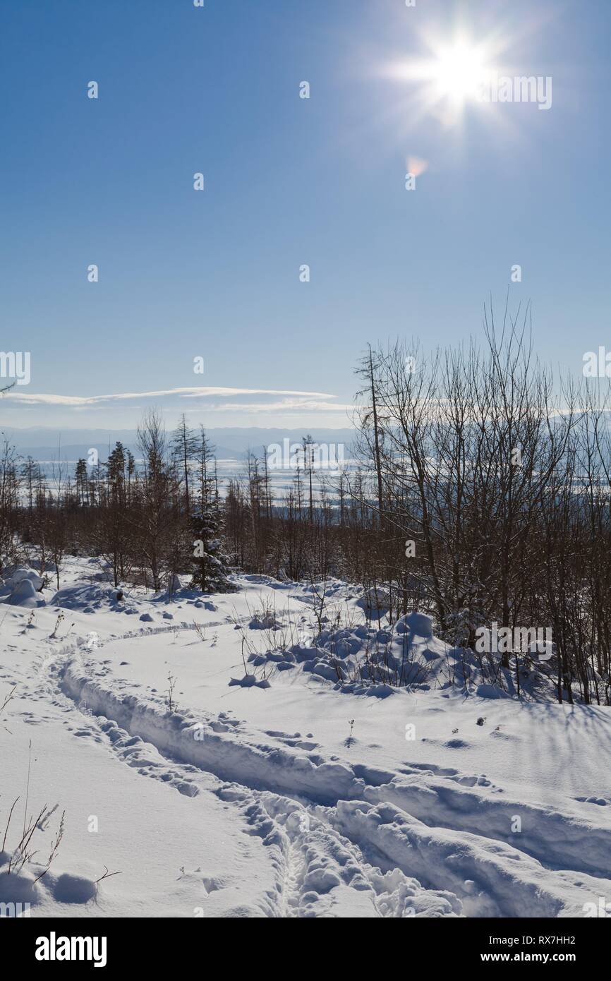 Frozen country side tiny road and many snow everywhere Stock Photo - Alamy