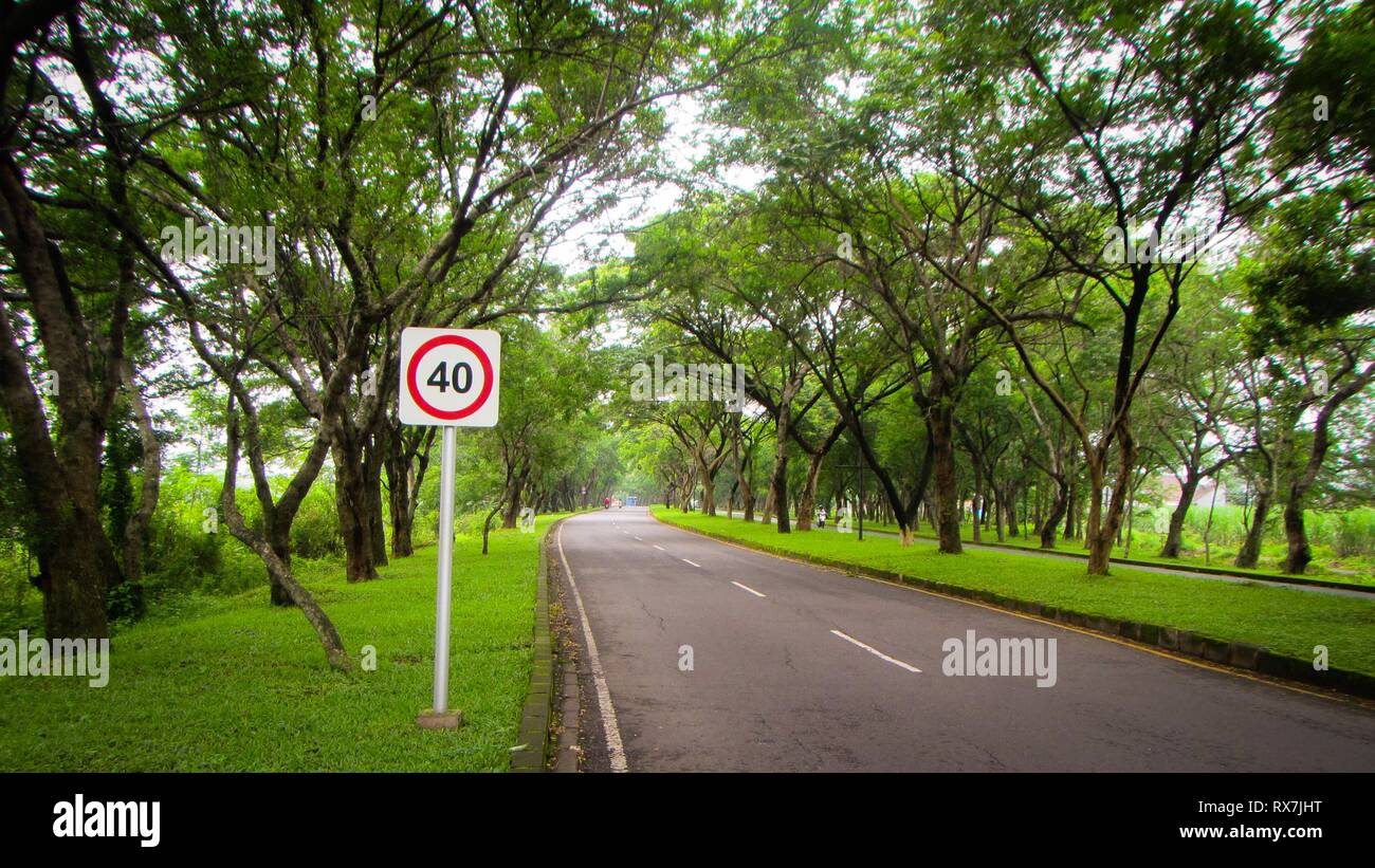 40 maximum limit speed sign with trees background Stock Photo - Alamy