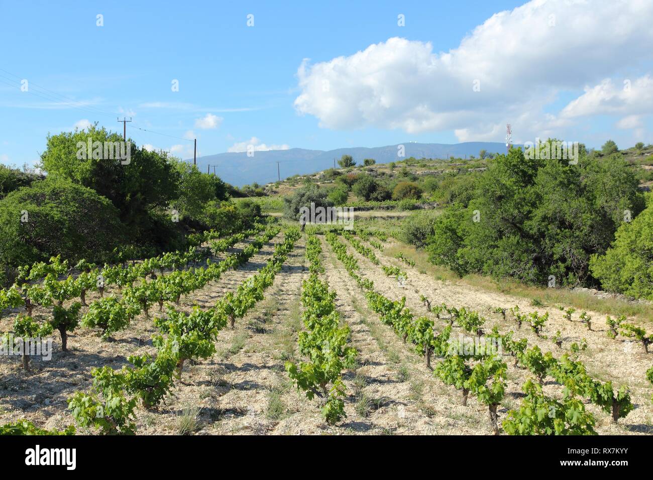 Cyprus countryside hi-res stock photography and images - Alamy