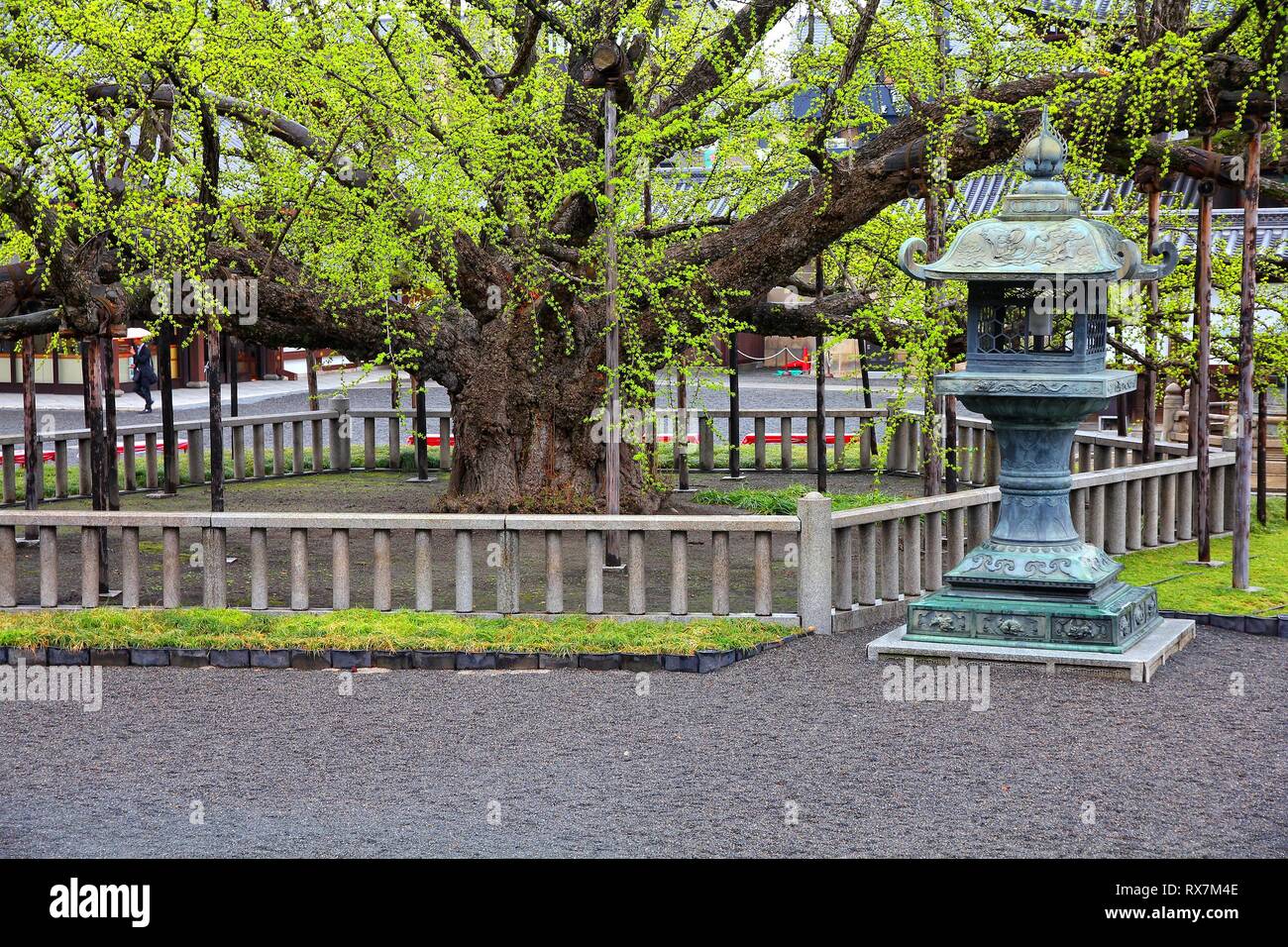 Kyoto, Japan - famous Nishi Honganji Temple garden. Buddhist temple of ...