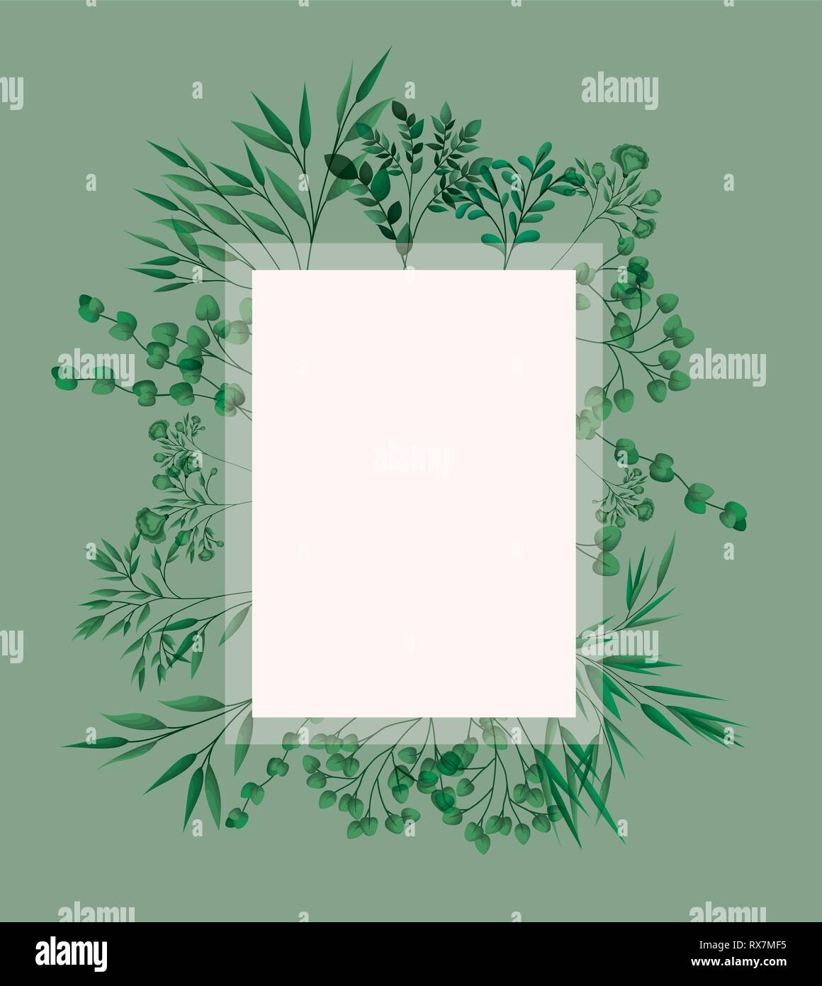 square frame with laurel leafs Stock Vector Image & Art - Alamy