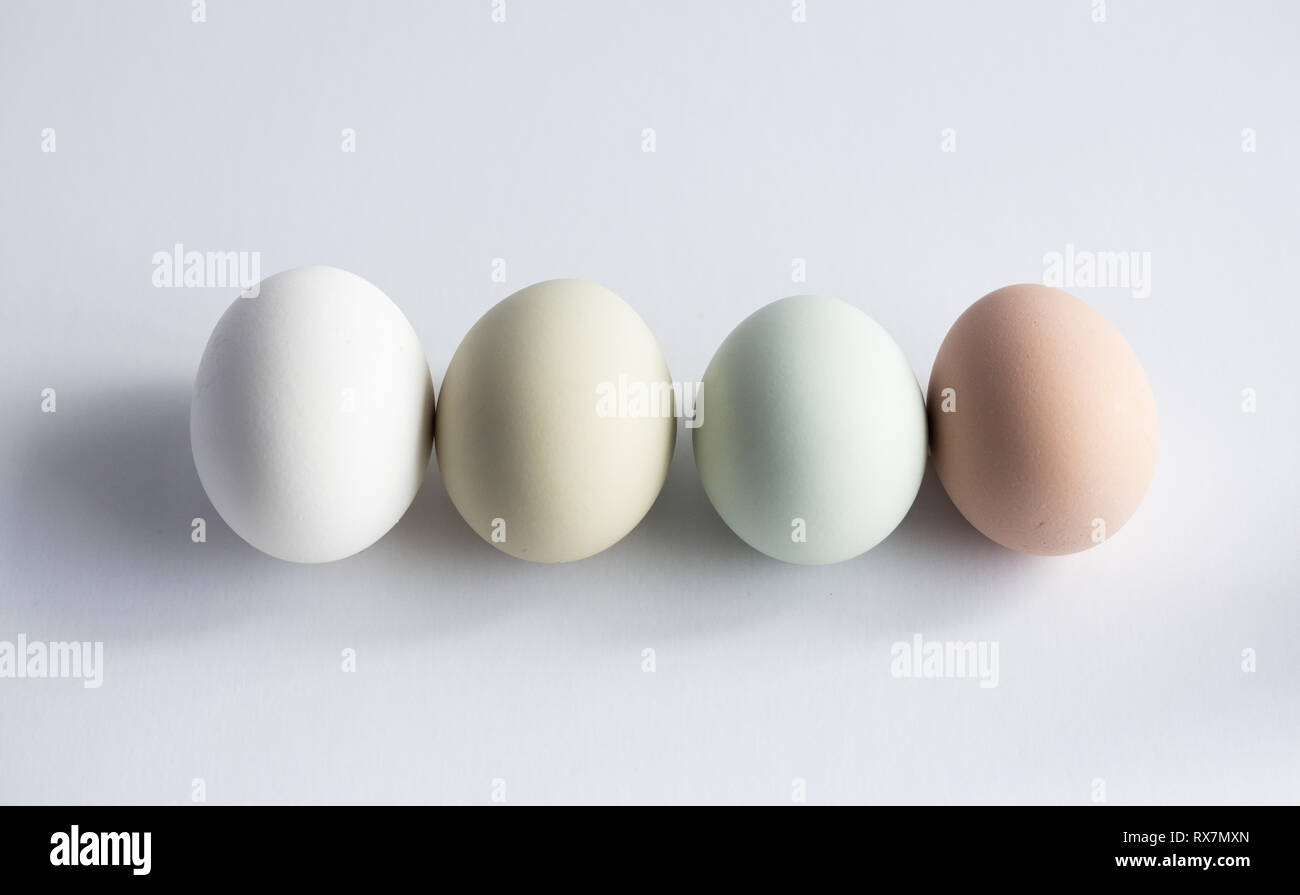 Multy colored eggs hi-res stock photography and images - Alamy