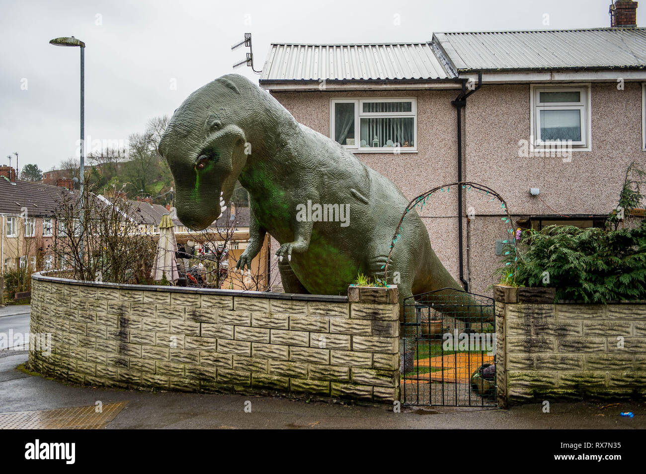 Friday 08 March 2019 Pictured Alun The Dinosaur Outside The House In Cwmbran Re Alun The