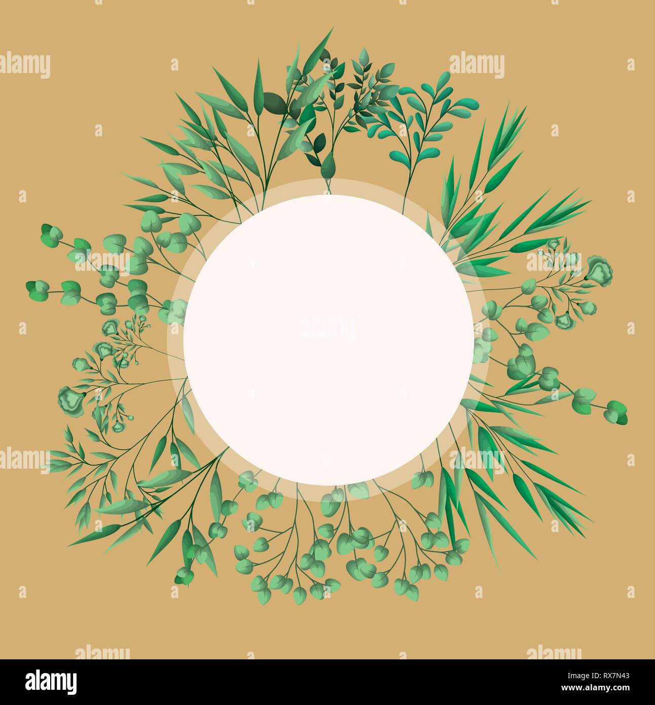 circular frame with laurel leafs Stock Vector Image & Art - Alamy