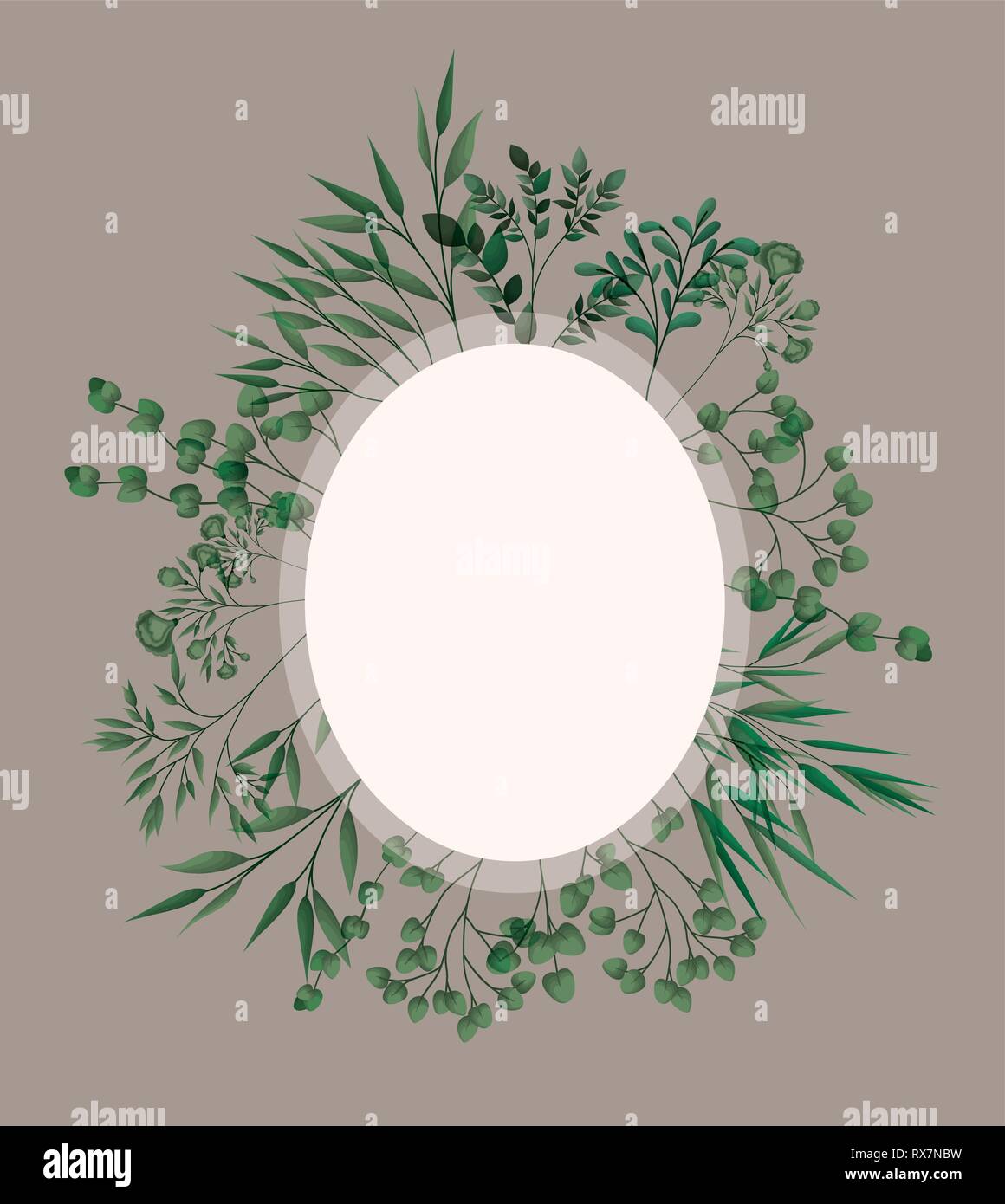 circular frame with laurel leafs Stock Vector Image & Art - Alamy