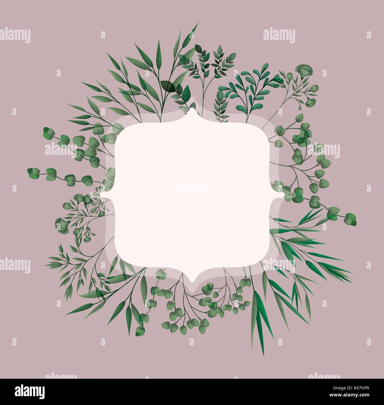 square frame with laurel leafs Stock Vector Image & Art - Alamy