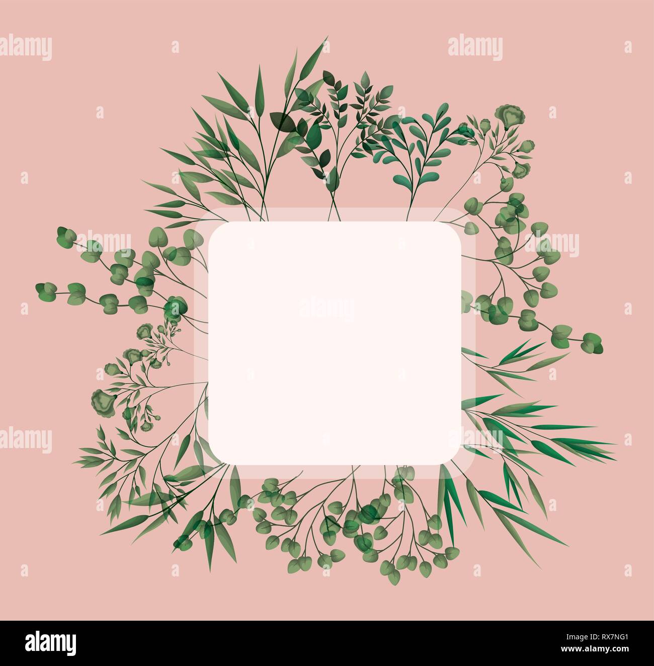 square frame with laurel leafs Stock Vector Image & Art - Alamy