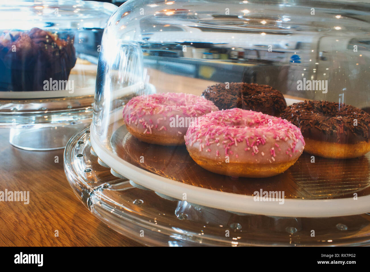 Colorful doughnuts in a glass display container on a shop counter Stock ...