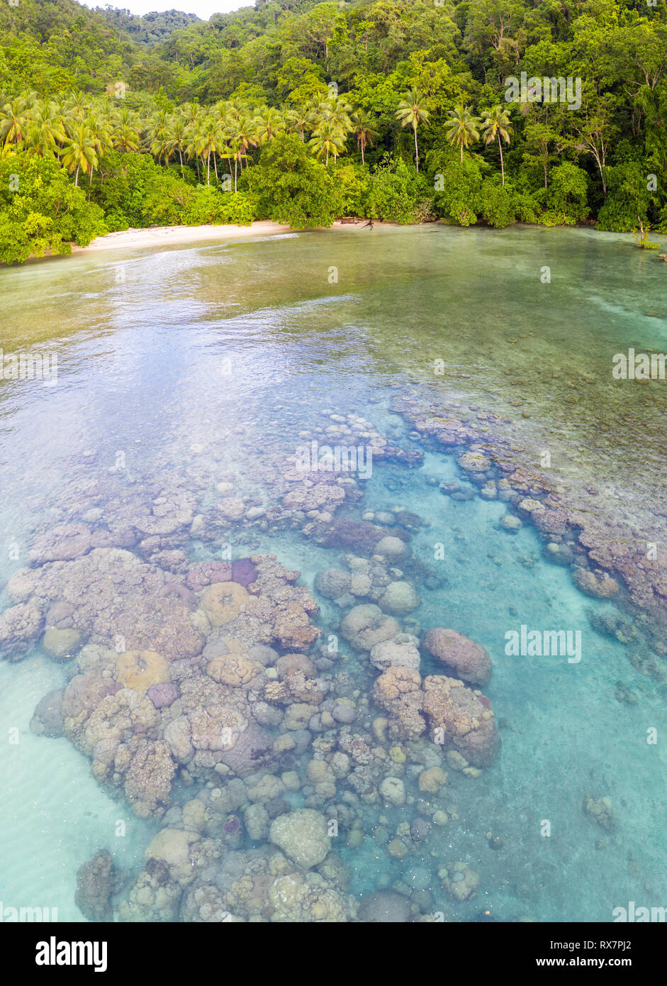 Aerial view of reef and island in Papua New Guinea. The remote ...