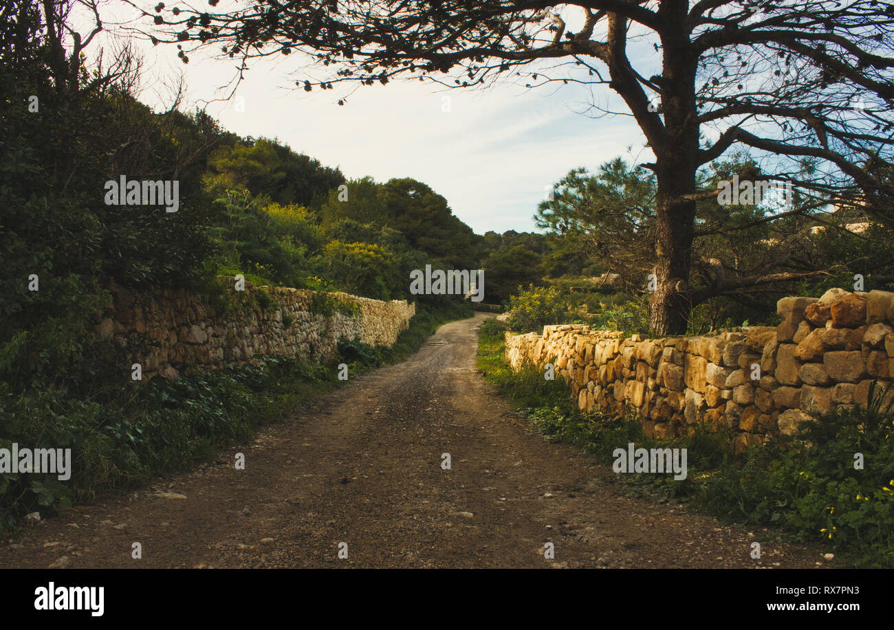 Countryside scene with dirt path and stone rubble walls and tree Stock ...