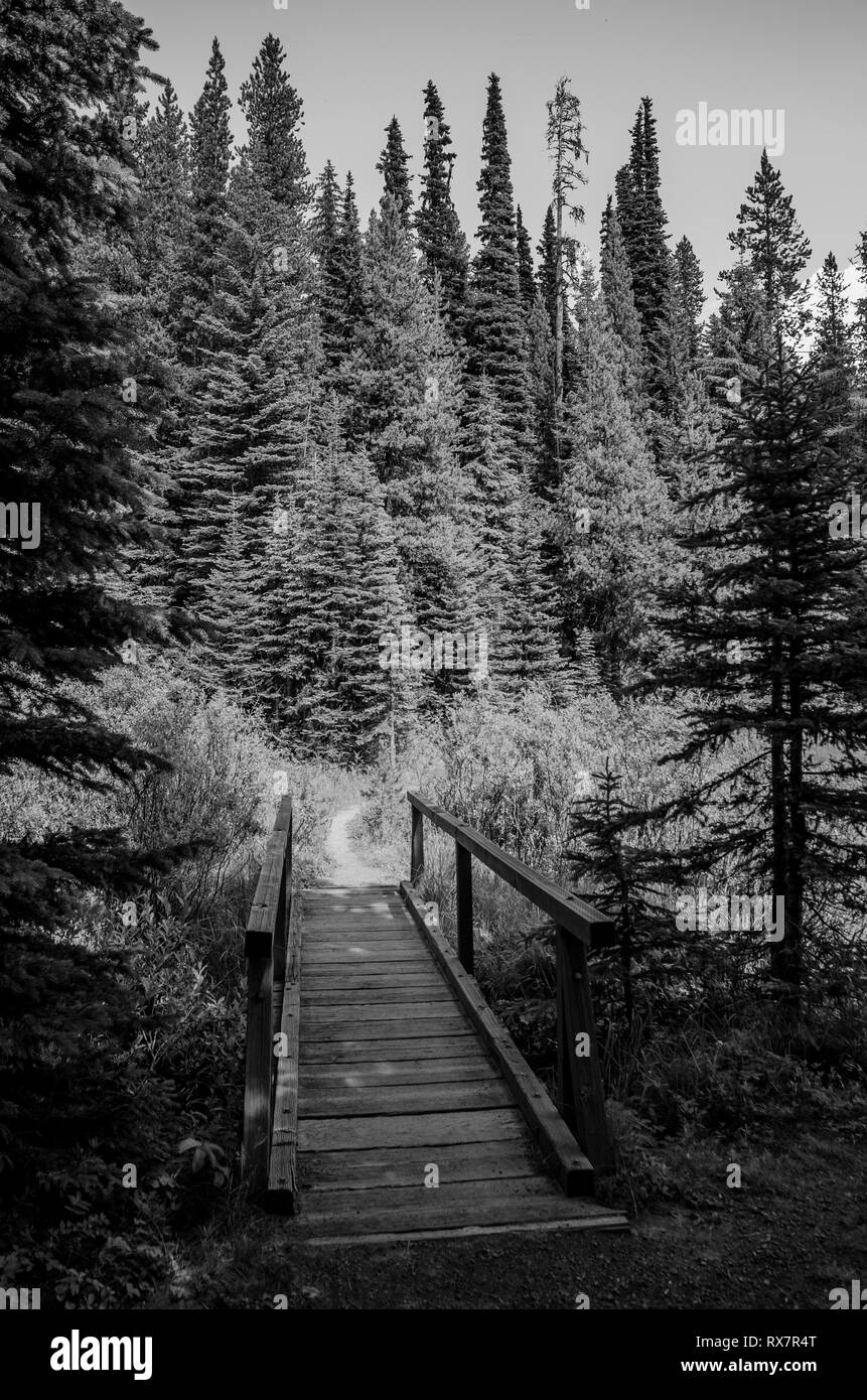 Bridge on hiking trail at Jubilee Lake, Oregon Stock Photo - Alamy