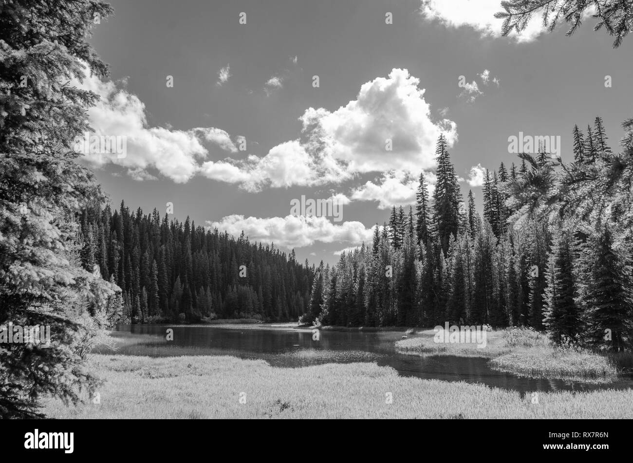 Middle of lake Black and White Stock Photos & Images - Alamy