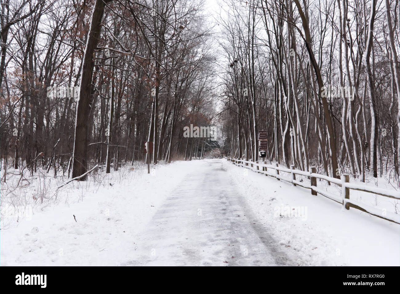 Winter season and nature Stock Photo - Alamy