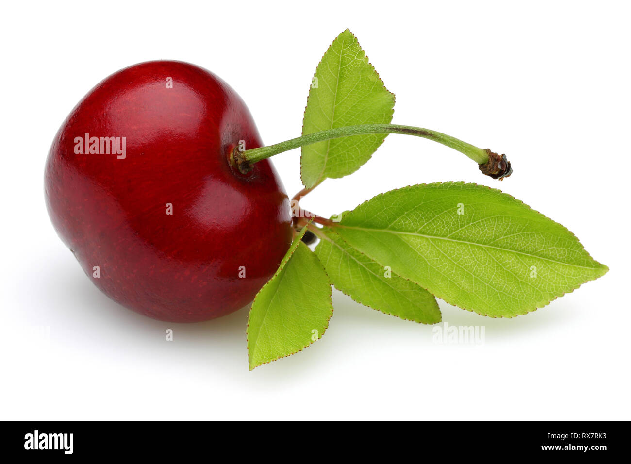 Ripe red cherry with stalk and leaf isolated on white background Stock ...