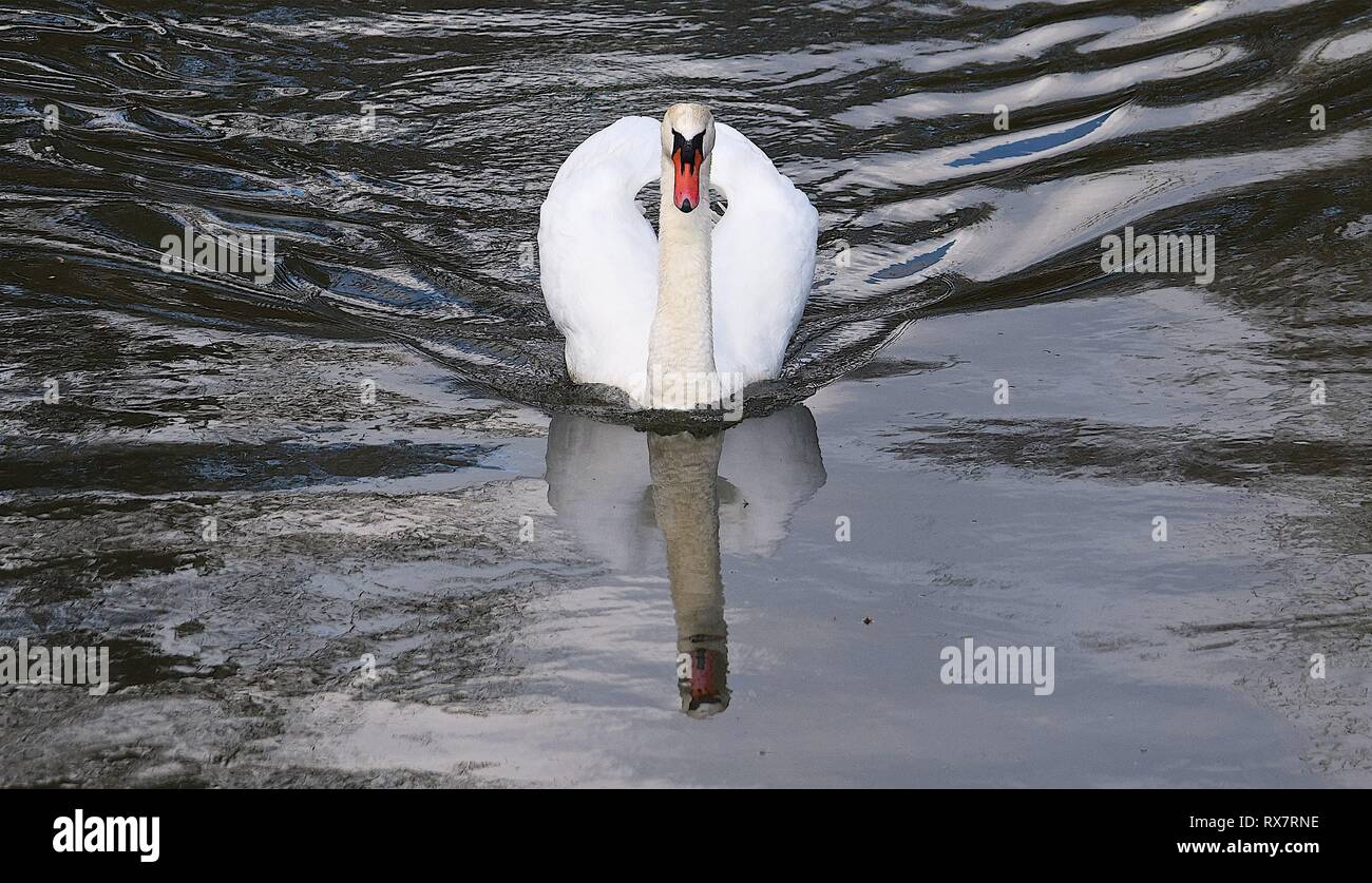 S shaped wake hi-res stock photography and images - Alamy